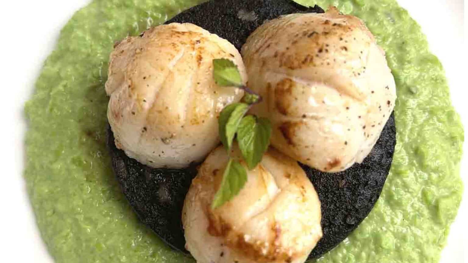 14 Scallop Recipes That Will Make You Feel Like a Gourmet Chef - Savor ...