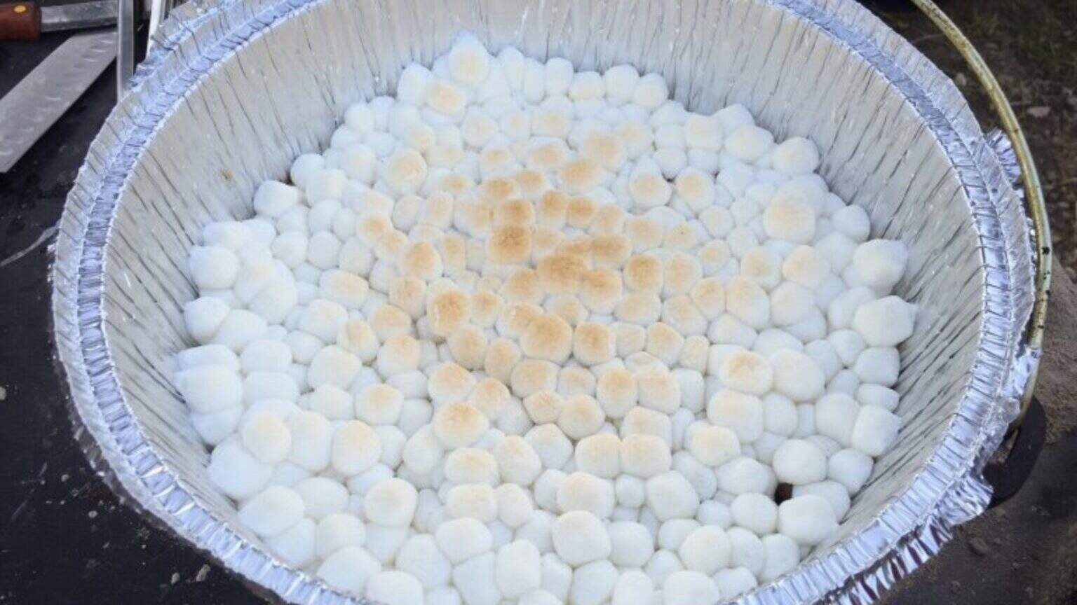 12 Creative Graham Cracker Desserts You Can Whip Up Anytime - Savor and ...